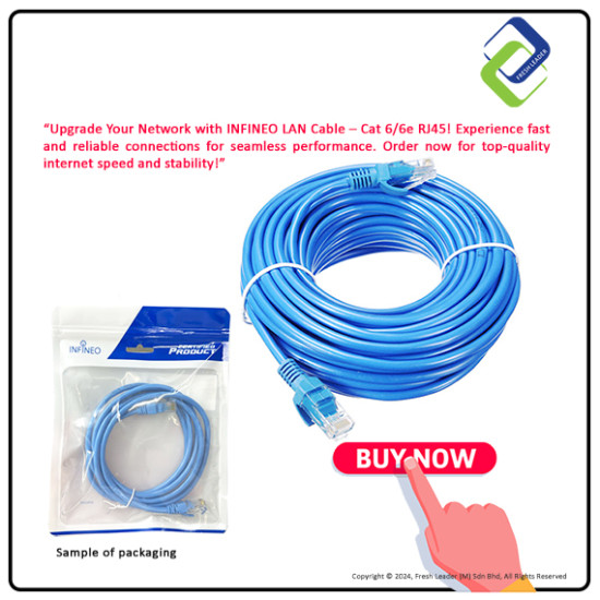 Fast and Reliable INFINEO LAN Cable - Cat 6/6e RJ45 Ethernet Cable 10m ...